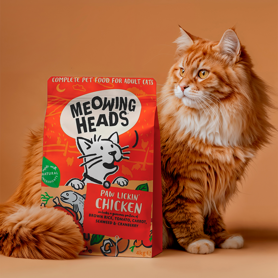 KittyMart | Shop Treats, Litter, & Cat Food